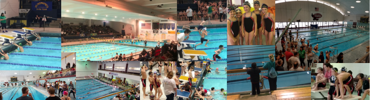 Catholic Youth Swim League